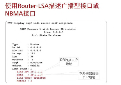 OSPF知识点（持续更新中）_nssa no-summary-CSDN博客
