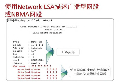 OSPF知识点（持续更新中）_nssa no-summary-CSDN博客