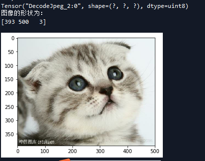 Tensorflow中将图像转化为张量（图像->tensor->numpy N维数组对象ndarray）_提取的图像特征张量形式-CSDN博客