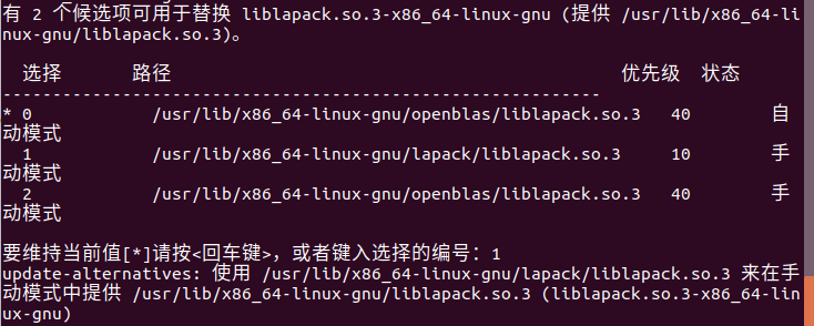 ImportError: /usr/lib/x86_64-linux-gnu/libblas.so.3: undefined symbol: gotoblas_importerror ...