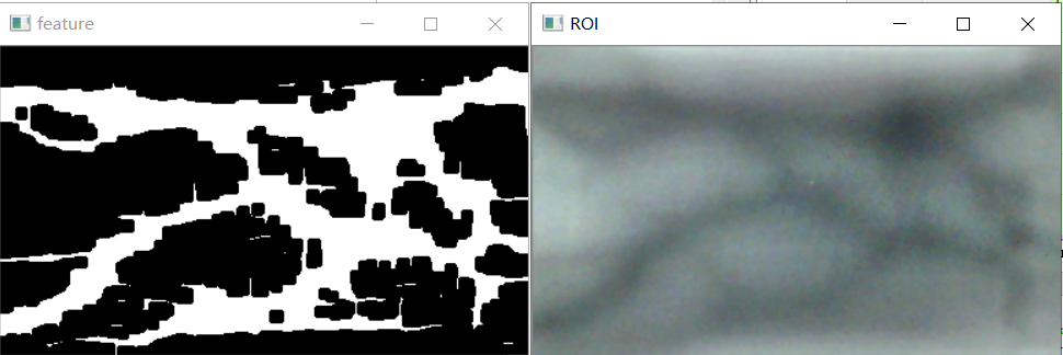opencv-python 用Gabor滤波器实现指静脉血管区域二值化纹理特征提取_lustyoung的博客-CSDN博客