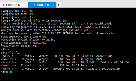 Nginx代理转发SFTP_nginx 转发sftp_邪人君子的博客-CSDN博客