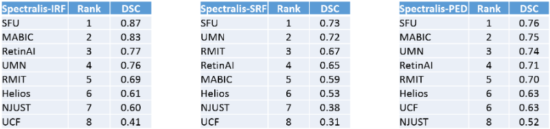 【眼底数据集】RETOUCH & REFUGE & IDRiD_refuge数据集-CSDN博客
