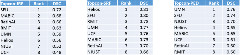 【眼底数据集】RETOUCH & REFUGE & IDRiD_refuge数据集-CSDN博客