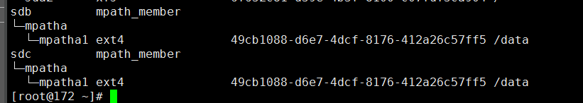 服务器挂载磁盘并在服务器之间共享挂载的磁盘_mpath类型的磁盘 mount-CSDN博客