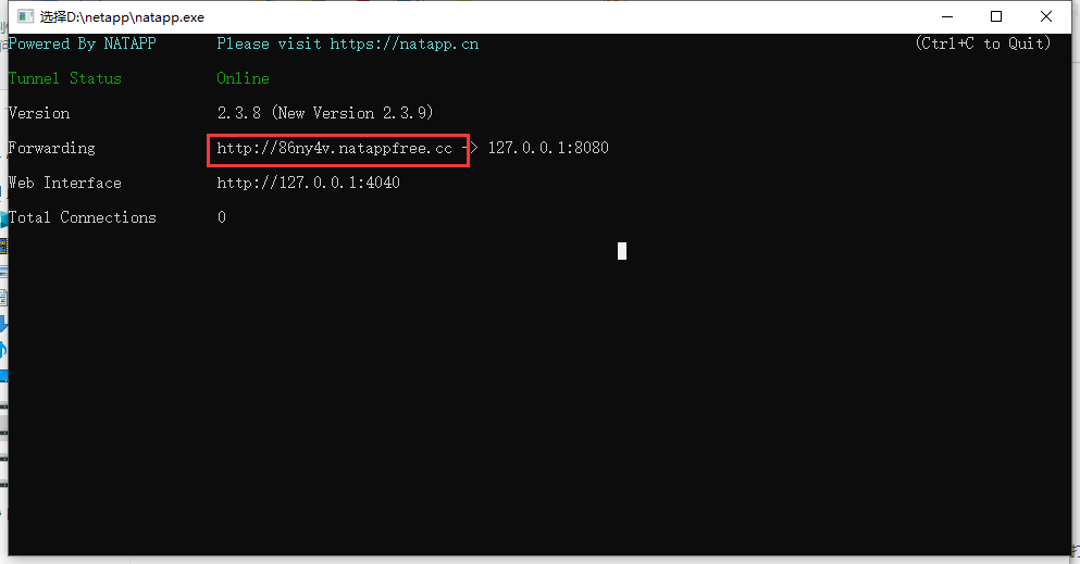 natapp使用_nateapp-CSDN博客