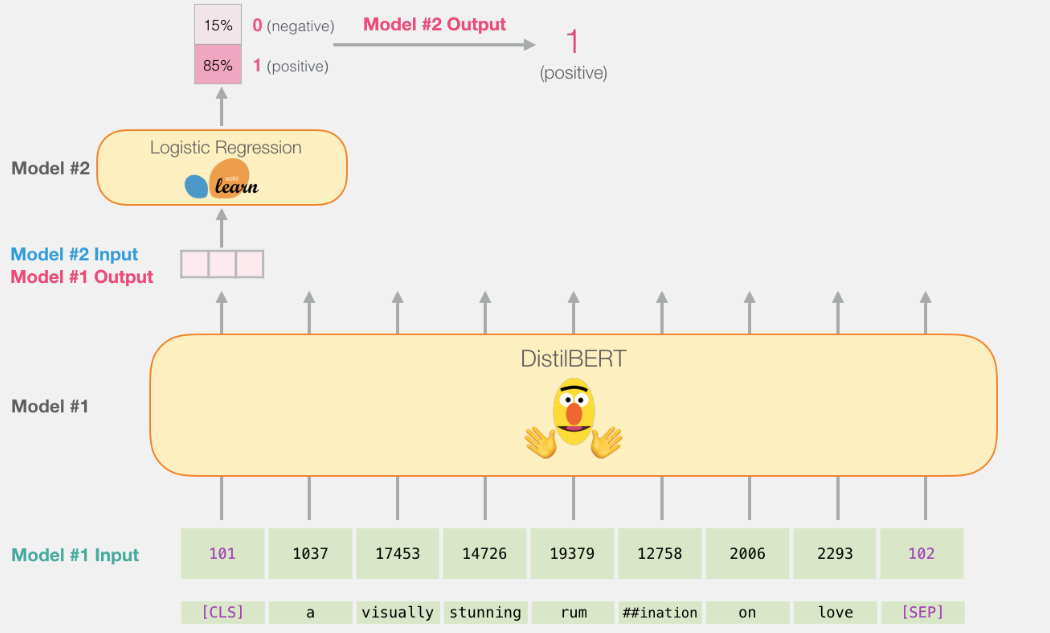 初次使用BERT的可视化指南_dnabert可视化-CSDN博客
