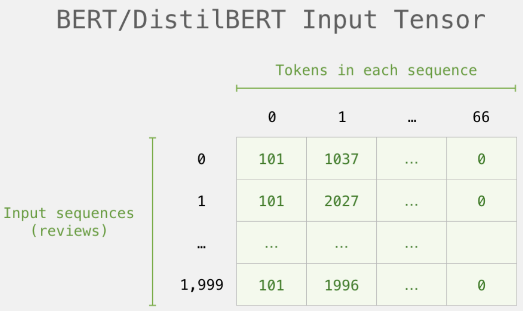 初次使用BERT的可视化指南_dnabert可视化-CSDN博客