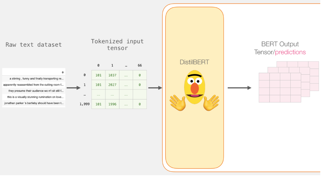 初次使用BERT的可视化指南_dnabert可视化-CSDN博客