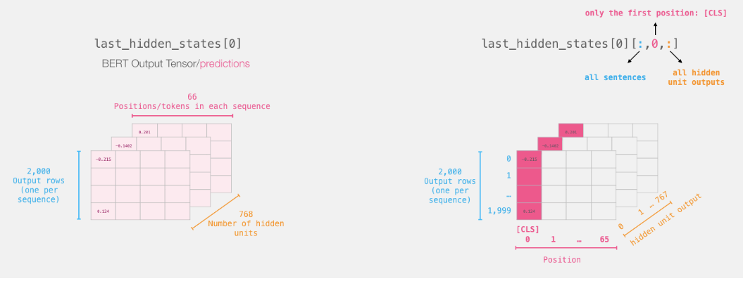 初次使用BERT的可视化指南_dnabert可视化-CSDN博客