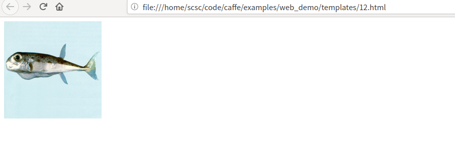 『Python』基于python3版本的Caffe自带测试模型demo运行_buffer = cstringio.stringio() ^^^^^^^^^^^^^^^^^^ a-CSDN博客