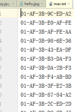 Python之文件及练习1：文件练习：创建文件data.txt 文件共有100000行 ,每行存放一个1～100之间的整数 练习2：生成100个MAC地址并写入文件中_创建文件 data ...