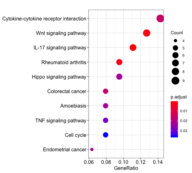 作业：KEGG可视化-绘图_kegg画图-CSDN博客