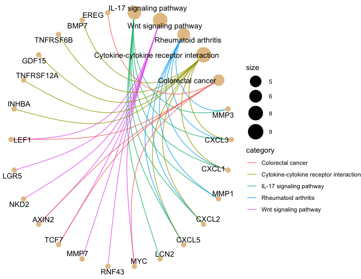 作业：KEGG可视化-绘图_kegg画图-CSDN博客