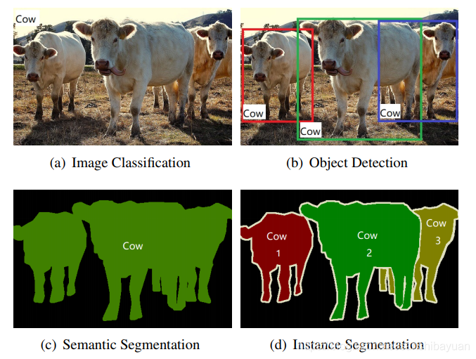 【进展综述】单阶段实例分割(single Shot Instance Segmentation) Csdn博客
