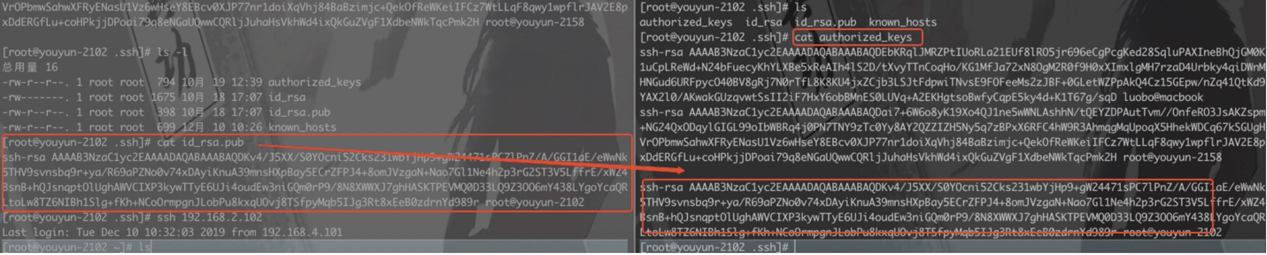 Linux服务器之间设置ssh免密登录_192.168.2.142-CSDN博客