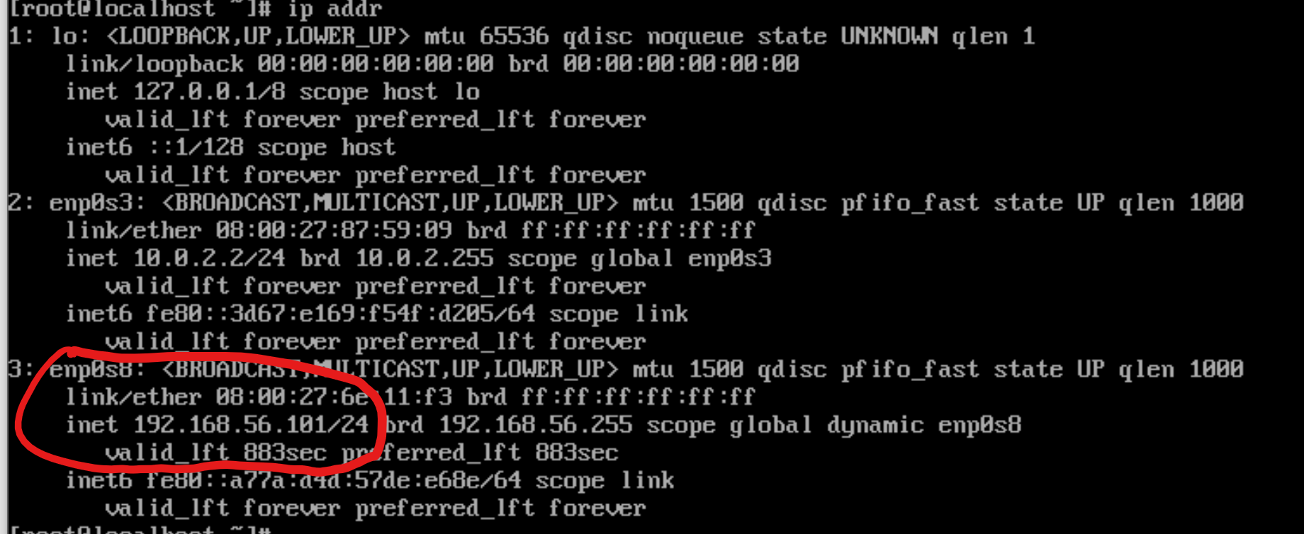 Virtualbox中linux设置nat连接外网和host Only来实现主机与虚拟机之间的通信（实现双机互通同时可上外网）主机连接 Virtualbox Nat中linux Csdn博客