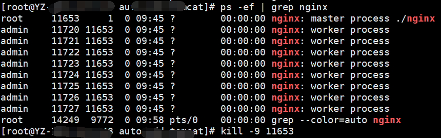 windows下nginx启动失败（常见的两个错误以及解决方案） - 程序员大本营