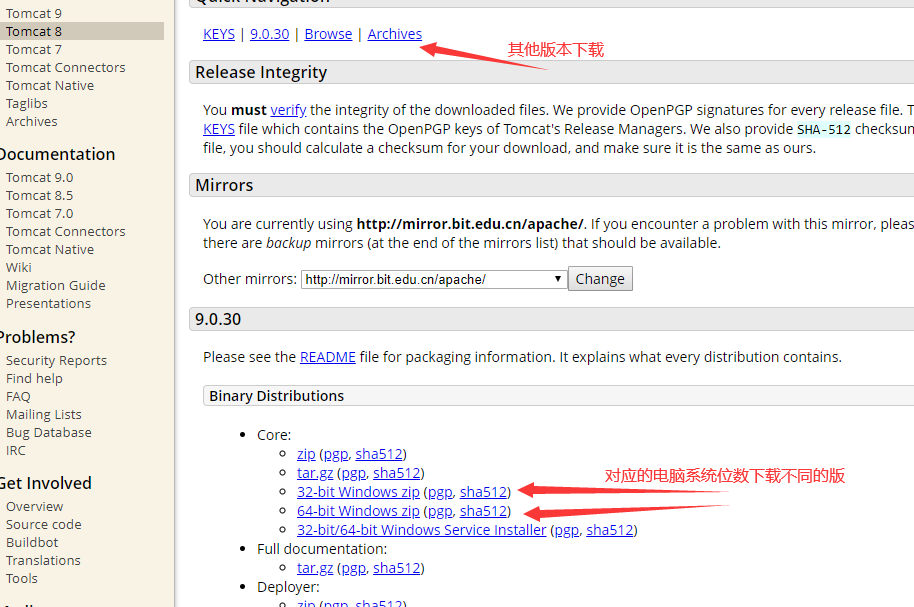 Tomcat9.0的下载安装及配置环境变量及eclipse部署tomcat_tomcat 9.0 32位-CSDN博客