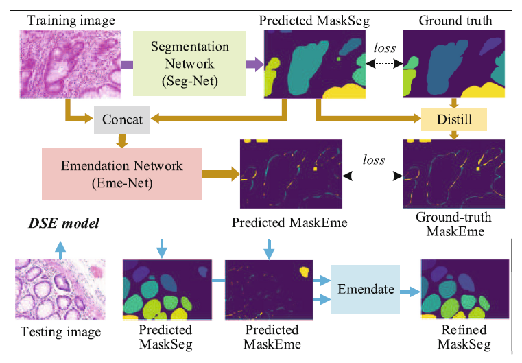 医学图像分割 （MICCAI 2019）_selective feature aggregation network with area-bo-CSDN博客