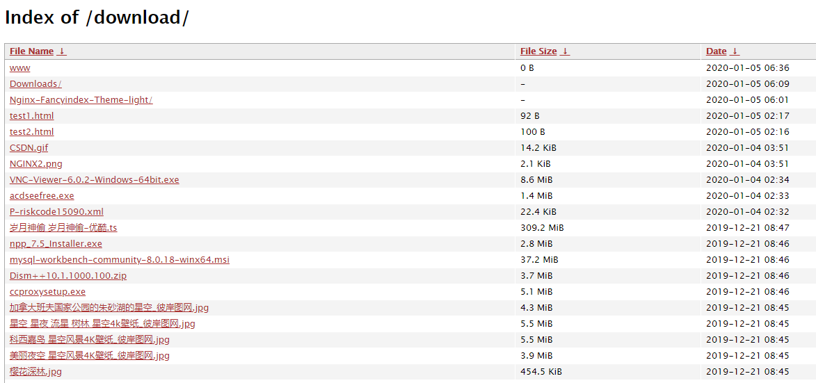 Linux：Nginx目录浏览下载(autoindex)_linux autoindex-CSDN博客