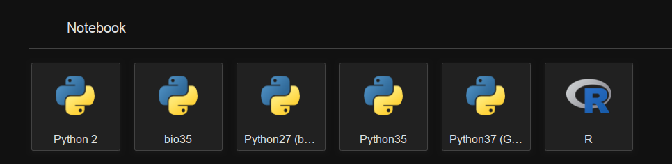 2020-01-06-Jupyter查看（ipython）kernel的显示名称(display-name)、删除和安装kernel_[spyderkernelapp] error ...