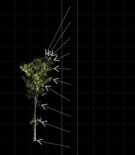 有符号距离场（Signed Distance Field，SDF）-CSDN博客