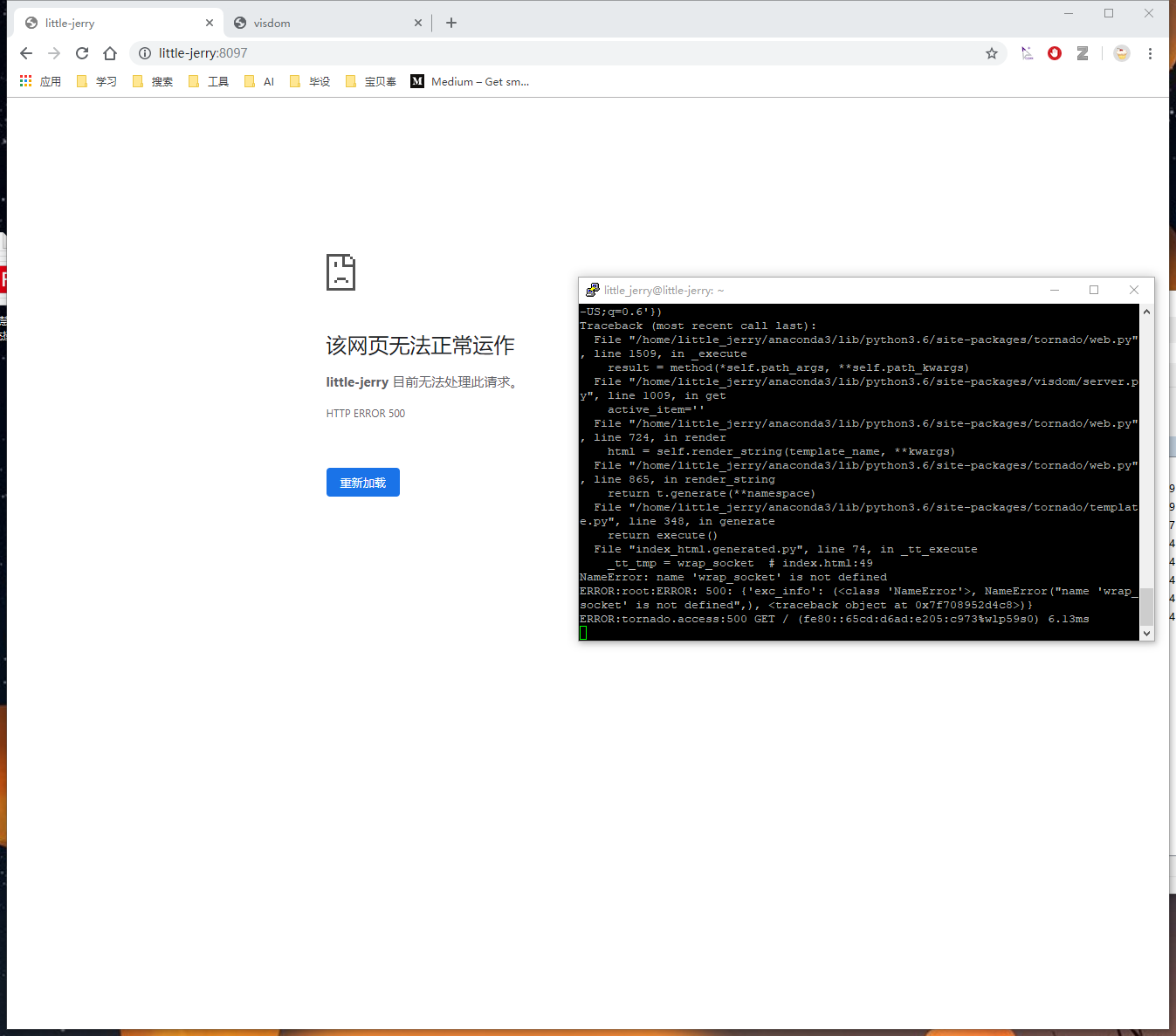 本地主机链接服务器visdom显示http error 500_visidom爆出500的错误-CSDN博客