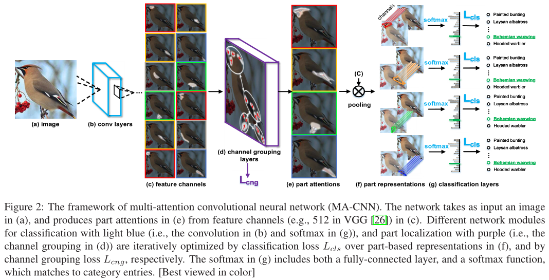 细粒度图像识别论文：Learning multi-attention convolutional neural network for fine-grained image ...