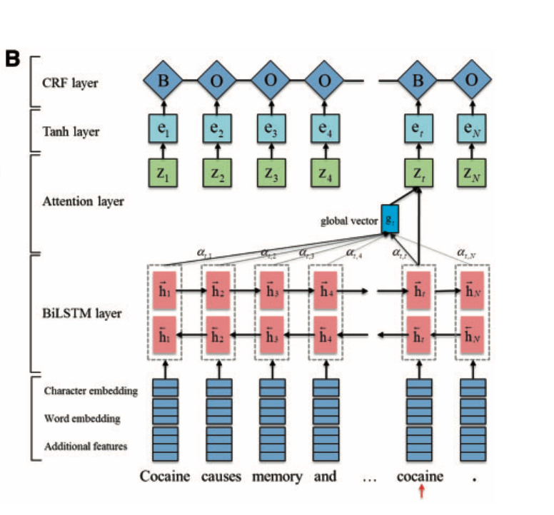 An attention-based BiLSTM-CRF approach to document-level chemical named entity recognition_a ...