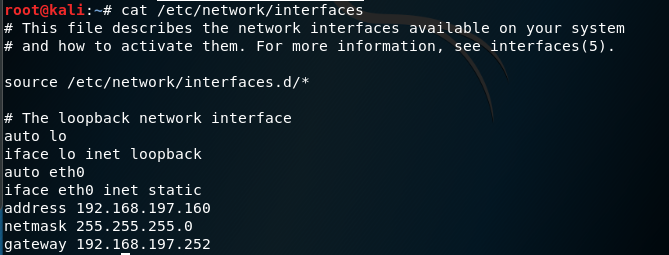 虚拟机的kali linux桥接模式连接网络配置_简述如何使用kali虚拟机连接到物理机的特定端口-CSDN博客
