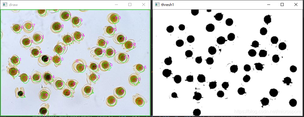 Opencv——python细胞计数实现基于深度学习pythonopencv实现细胞检测计数源码含有gui界面训练好的模型数据集 Csdn博客