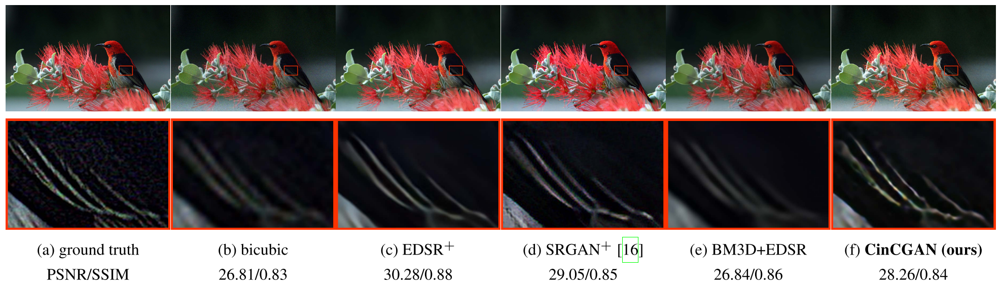 【论文阅读】Unsupervised Image Super-Resolution using Cycle-in-Cycle Generative Adversarial Networks ...
