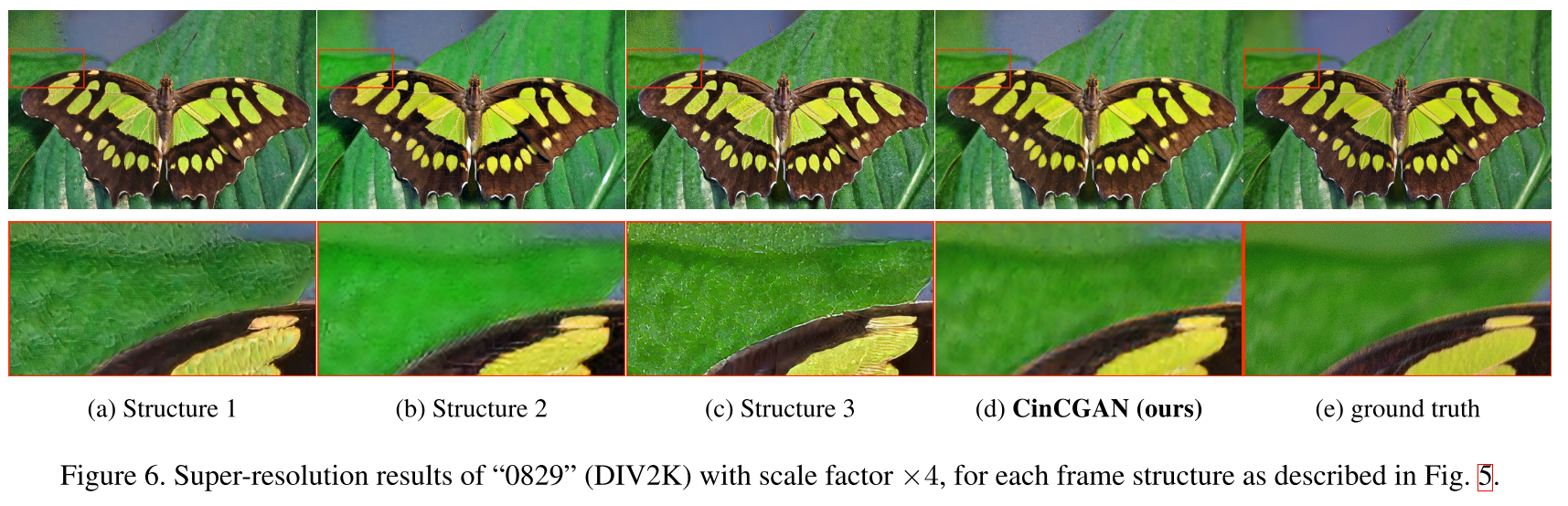 【论文阅读】Unsupervised Image Super-Resolution using Cycle-in-Cycle Generative Adversarial Networks ...