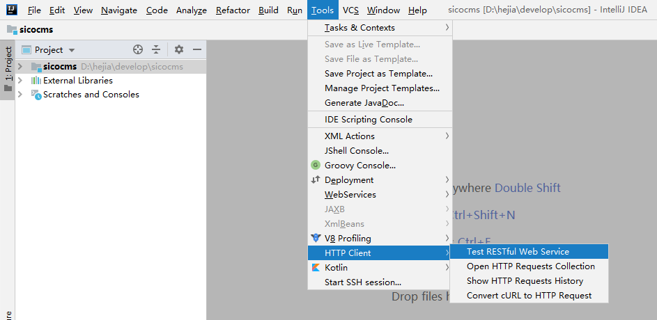 使用IntelliJ IDEA内置REST Client工具调用REST API_idea获取rest接口url-CSDN博客