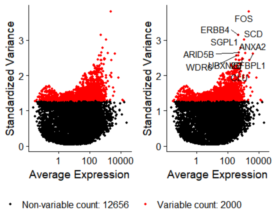探索seurat包_findvariablegenes-CSDN博客