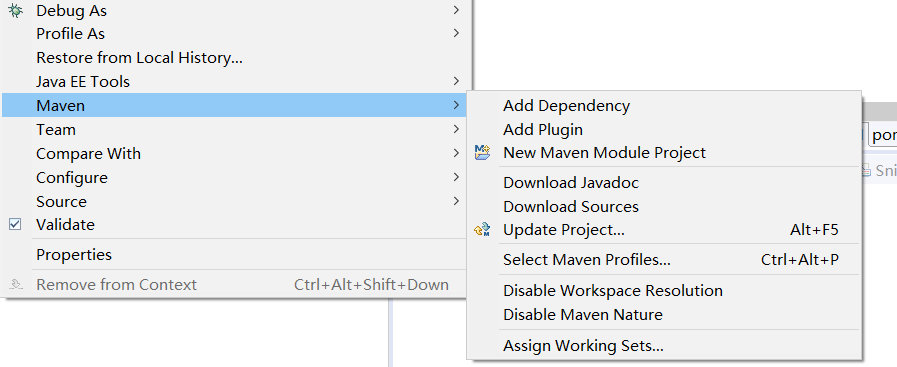 [Maven] error: Could not get the value for parameter encoding for plugin execution default ...