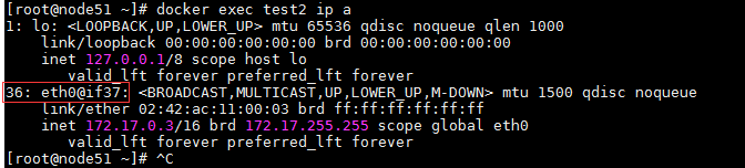 Docker网络之bridge0详解-CSDN博客