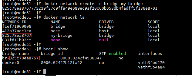Docker网络之bridge0详解-CSDN博客