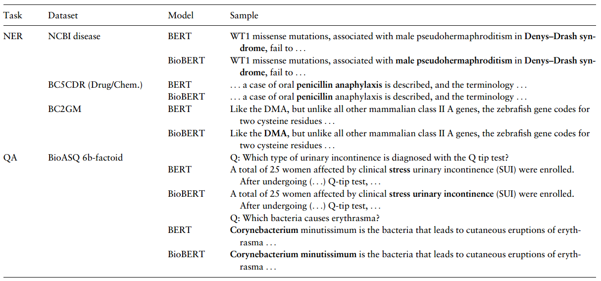 【深度学习】BioBERT文章翻译及个人感悟-CSDN博客