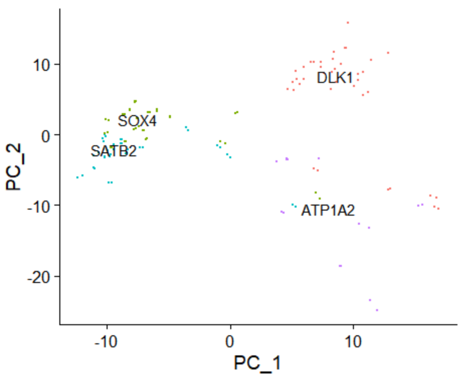 探索seurat包_findvariablegenes-CSDN博客