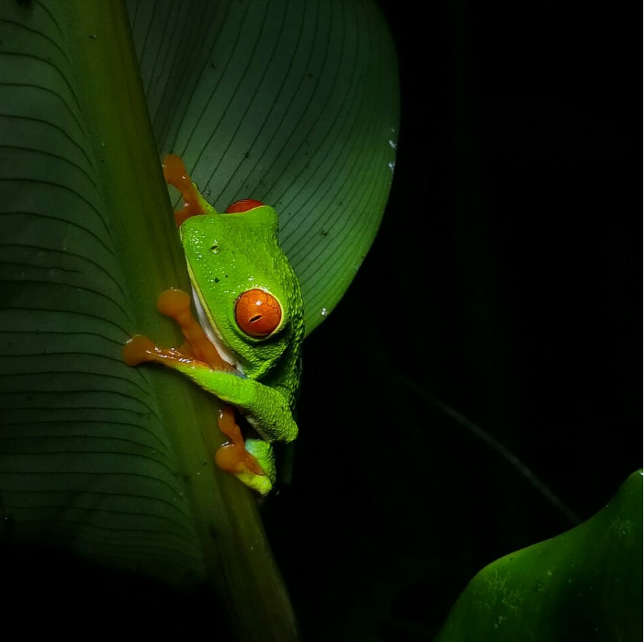 Python使用嵌套循环实现图像处理算法 Csdn博客