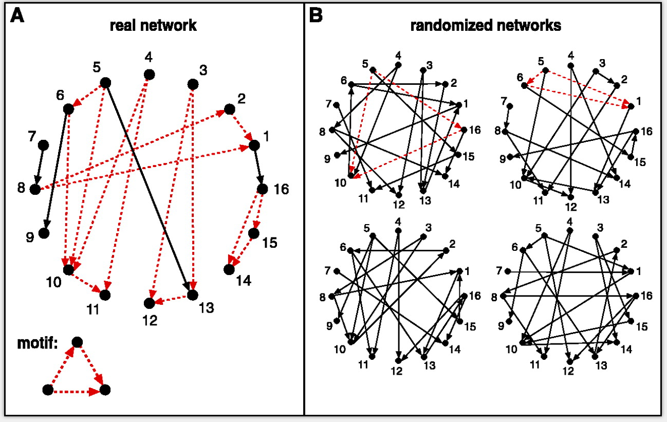 在论文中经常读到的motifs是什么意思？-CSDN博客