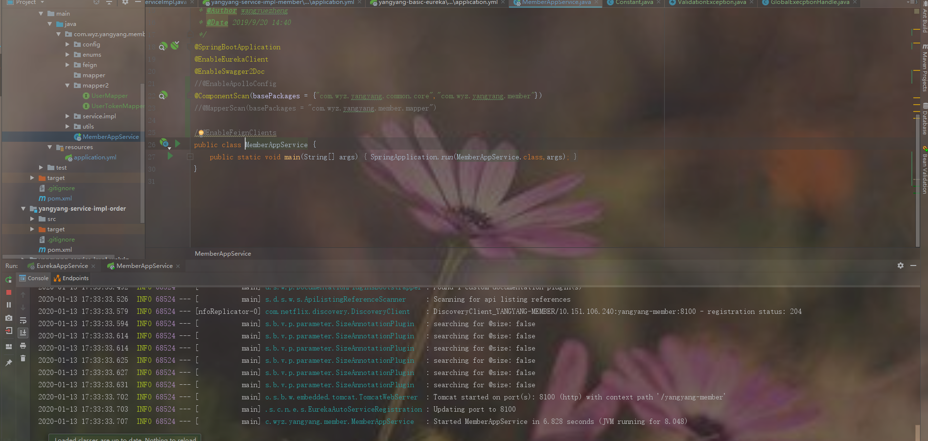 踩 项目中@MapperScan和@Mapper共存 之坑XxxMapper that could not be found.-CSDN博客
