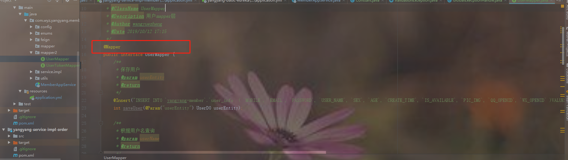 踩 项目中@MapperScan和@Mapper共存 之坑XxxMapper that could not be found.-CSDN博客