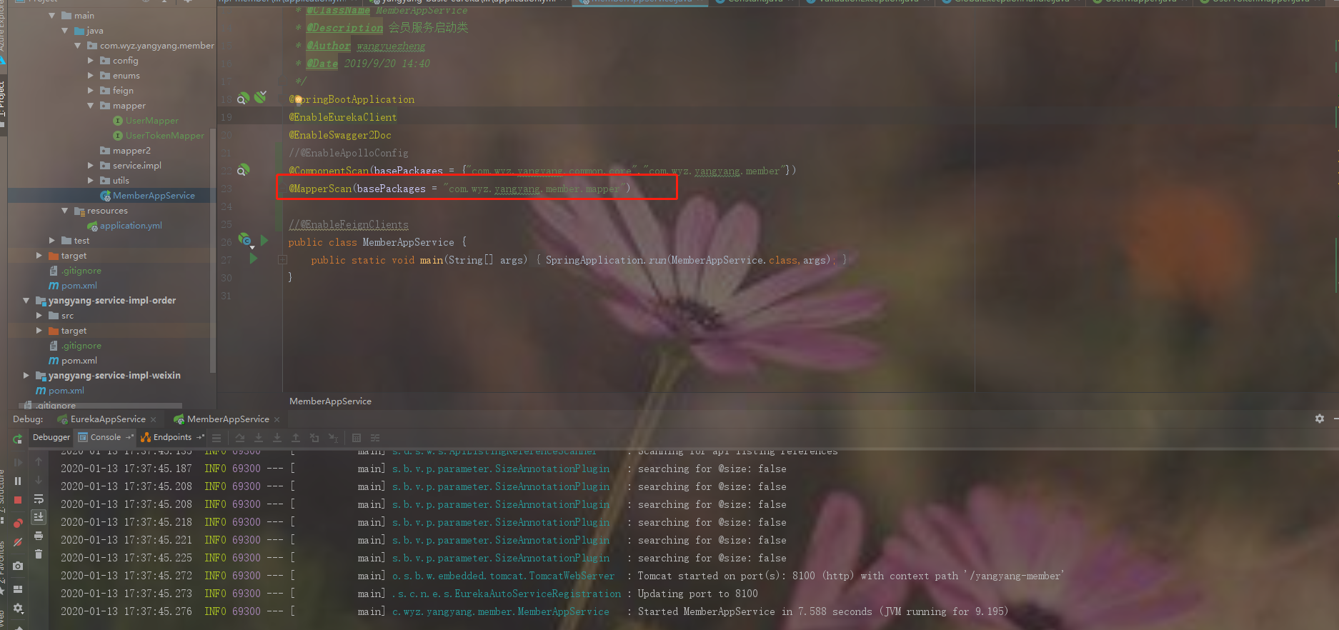 踩 项目中@MapperScan和@Mapper共存 之坑XxxMapper that could not be found.-CSDN博客