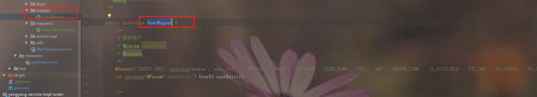 踩 项目中@MapperScan和@Mapper共存 之坑XxxMapper that could not be found.-CSDN博客