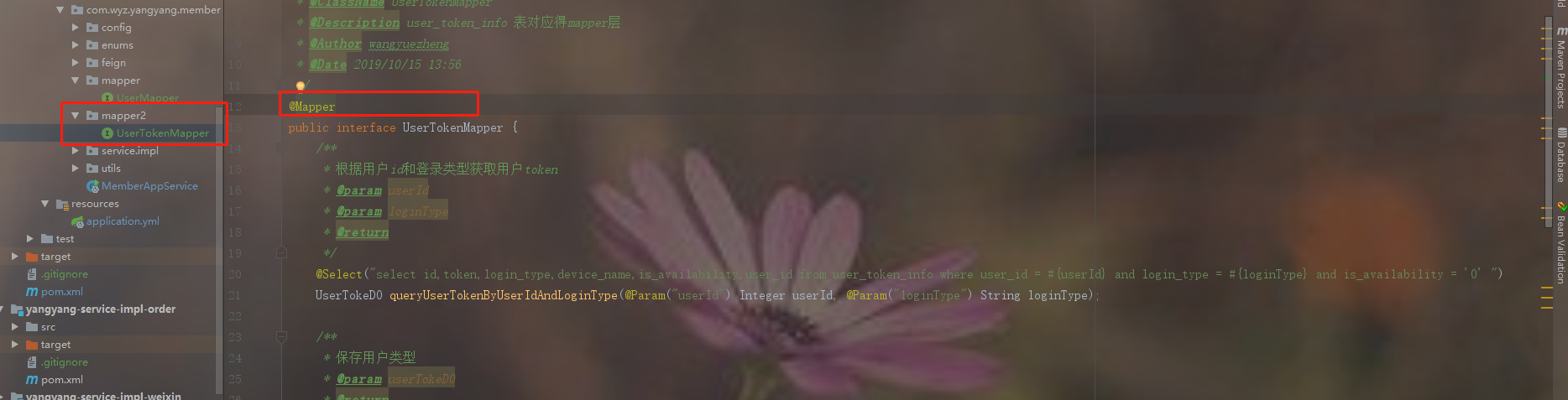 踩 项目中@MapperScan和@Mapper共存 之坑XxxMapper that could not be found.-CSDN博客