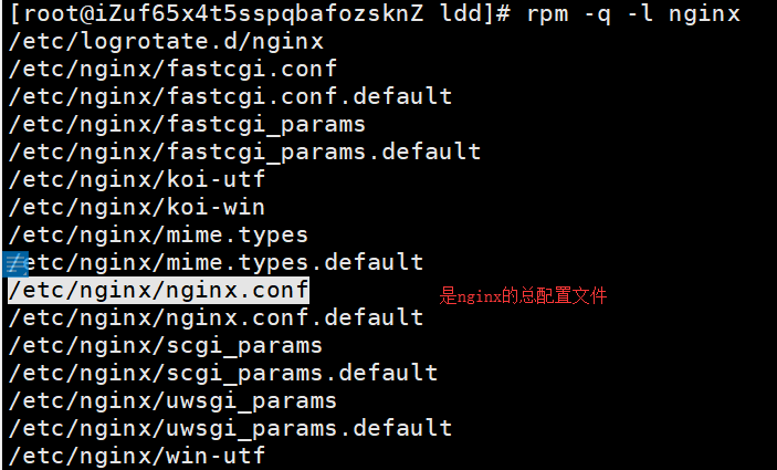阿里云ESC服务器之nginx使用_阿里云ecs启动nginx-CSDN博客