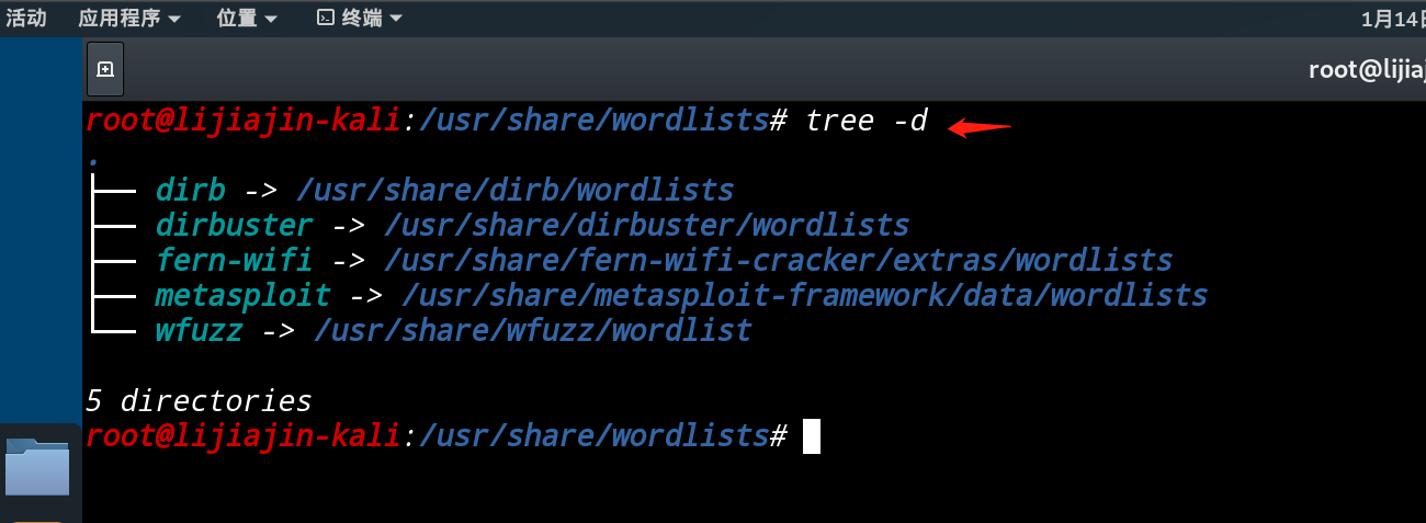 Wordlist/SecLists目录作用-CSDN博客